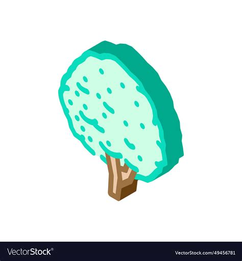 Neem Tree Jungle Amazon Isometric Icon Royalty Free Vector