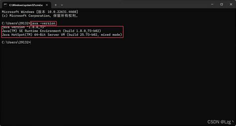 【java se基础】环境配置 jre配置 csdn博客