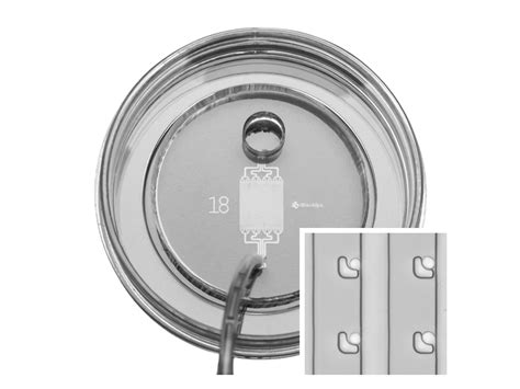 1cellarray Glass Bottom Ibiochips