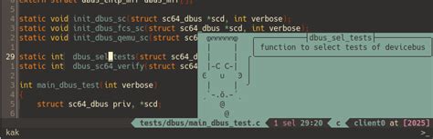 Lsp Ui · Issue 107 · Kakoune Lspkakoune Lsp · Github