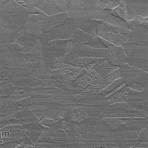 Scanning Electron Micrograph Of The Uncovered Substrate Secondary