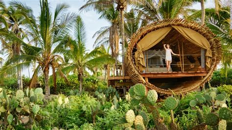 Is The Treehouse The Pinnacle Of Sustainable Living CNN Style