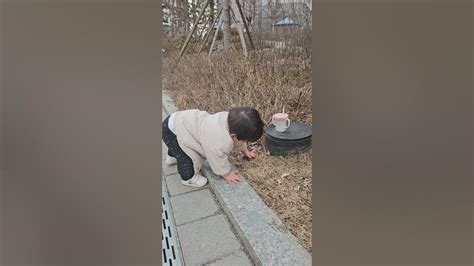 마른잔디의 어색한 질감 Youtube