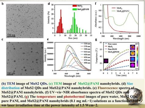 Biomedical Applications Of Quantum Dots Ppt