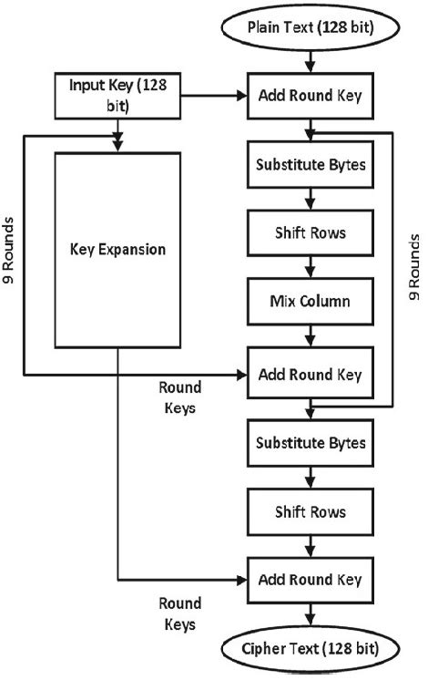 Aes Flow Chart [43] Download Scientific Diagram