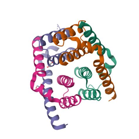 Rcsb Pdb 8spe Crystal Structure Of Bax Core Domain Bh3 Groove Dimer