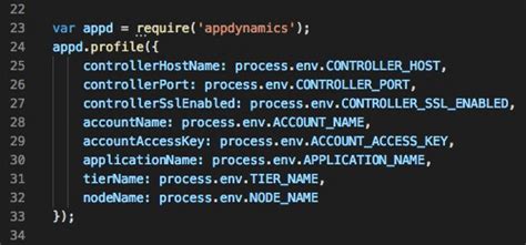 Best Practices For Instrumenting Containers With Appdynamics Agents