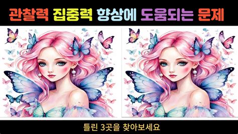 【틀린그림찾기다른그림찾기】 관찰력 집중력 향상에 도움되는 문제 【집중력 향상기억력강화두뇌운동】spot The Difference Find The
