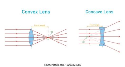 Focal Length Convex Lens Photos Images And Pictures Shutterstock
