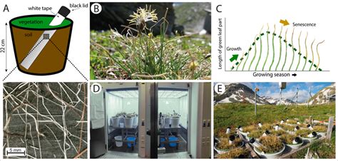 Overview Of The Experimental Setup A Scheme Of A Monolith With Natural Download Scientific