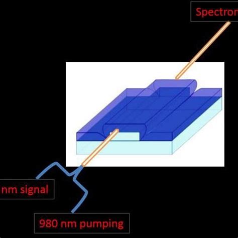 Illustration Of The Set Up For The Gain Measurement Download Scientific Diagram