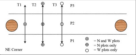 Schematic Layout Of Survey And Sampling Protocol For A Single Position