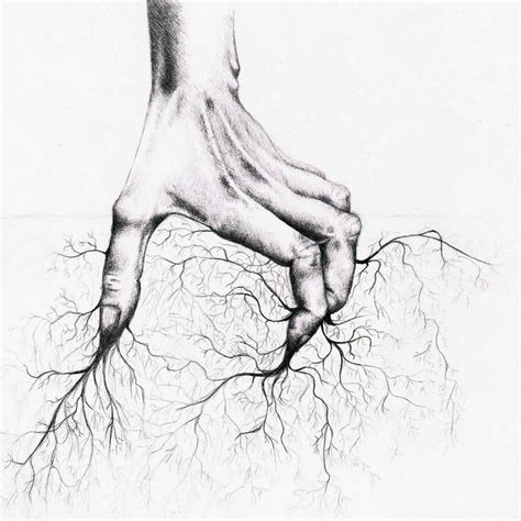 Roots By LostOneself On DeviantArt