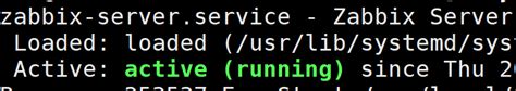 zabbix server starts error job for zabbix rvice faird because the control process