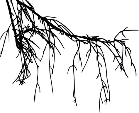 12 Tree Branch Silhouette PNG Transparent Vol 3 OnlyGFX Com