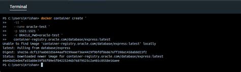 Oracle Xe In Docker On Windows An Ultimate Guide