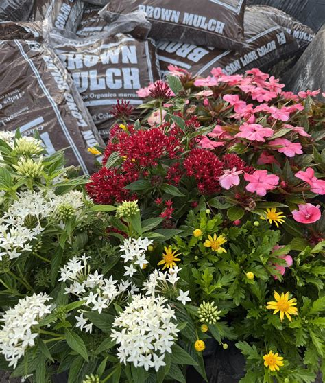 Third Rock Explorations Added A Third Rock Explorations