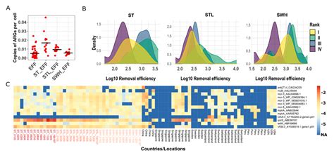 Water Research 香港大学张彤教授团队利用宏基因组分析评估废水处理厂中的抗性组和可移动遗传元件 知乎