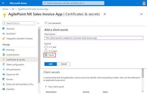 Example How To Get The Access Token Credentials From Microsoft Dataverse