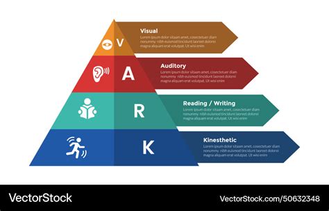 Vark Learning Styles Infographics Template Vector Image