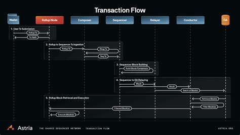 Use The Shared Sequencer Network With Astria Dusknet Astria