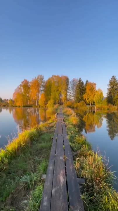 Срећко Брадић On Linkedin Добро јутро домаћини и домаћице 🥰