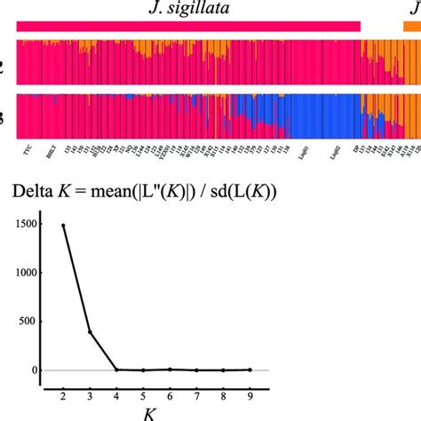 Genetic Clustering Of The 47 Cultivars And 6 Wild Populations Based On Download Scientific