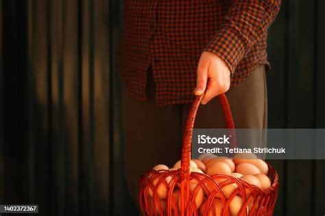 바구니에있는 많은 계란 현대 녹색 배경에 갈색 유기농 계란의 전체 바구니를 들고있는 여성의 손 가금류 농장 에코 제품 농업 신선한 계란 가금류에 대한 스톡 사진 및 기타