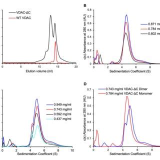 The Features And Expression Of VDAC C A The Structural Model Of Download Scientific
