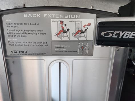 Cybex Back Extension Sports Equipment Exercise And Fitness Cardio And Fitness Machines On Carousell