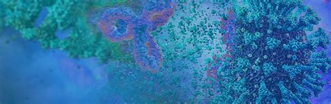 Turbocho Express Platformによる組換え抗体作成｜genscript