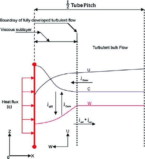 The Proposed Convection And Simple Diffusion Model Download