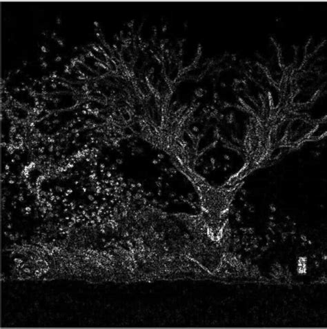 使用laplacian算子检测图像边缘在计算机视觉中laplacian算子用于检测图像的什么边缘 Csdn博客