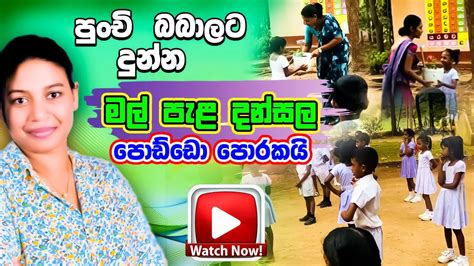 පොඩ්ඩොන්ට මල් පැළ ️පොඩ්ඩොන්ගේ උනන්දුව Youtube