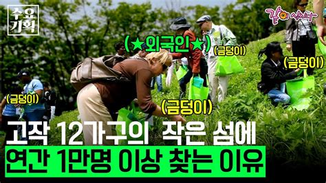 수요기획 12가구가 고작인 오지마을에 이것 때문에 1만명 이상이 찾는다 죽어가던 마을의 유일한 금덩이는ㅣ539ㅣkbs 20121003 Youtube