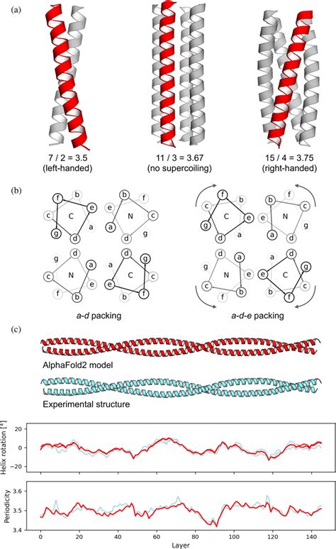 Coiled‐coil Domains And Quantification Of Their Structures A Download Scientific Diagram