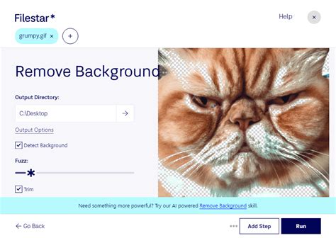 Remove Gif Background Easily Convert And Process Files Filestar