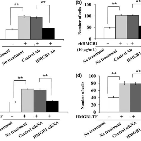 In Vitro Angiogenesis Assay In Gastric Cancer Cell Lines Huvec