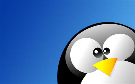 Linux Penguin Wallpapers Top Free Linux Penguin Backgrounds Linux Penguin Wallpapers Top Free Linux Penguin Backgrounds