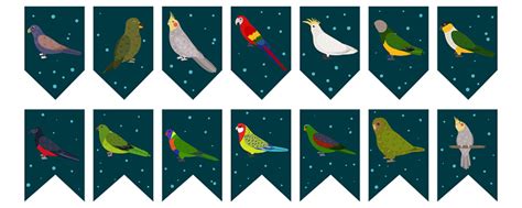 화려한 어두운 녹색 배경에 열대 조류와 생일 파티를위한 플래그 화환 번팅 위트 카카포 코카티엘 케아 청동 날개 앵무새 벡터에 대한 스톡 벡터 아트 및 기타 이미지 Istock