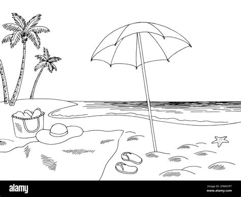 Küste Strand Grafik Schwarz Weiß Landschaft Skizze Illustration Vektor Stock Vektorgrafik Alamy