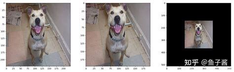 详解22种transforms数据预处理方法 知乎
