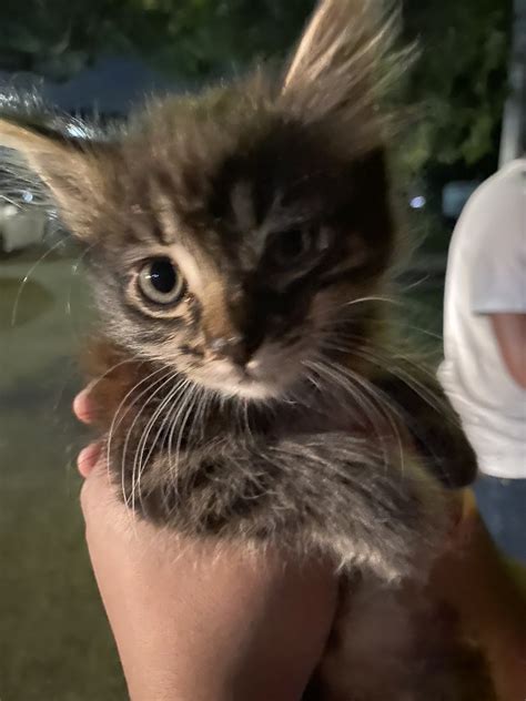 Aaden On Twitter Such A Pretty Pussy