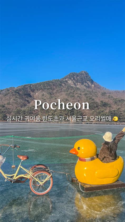 여행 아영🫧 서울근교 여행•공간 저장 겨울 낭만 가득한 강릉 당일치기 모음집 ️ 겨울 여행지 1위 강원도 낭만 가득한 강릉 당일치기 모음집을 준비했어요 ️