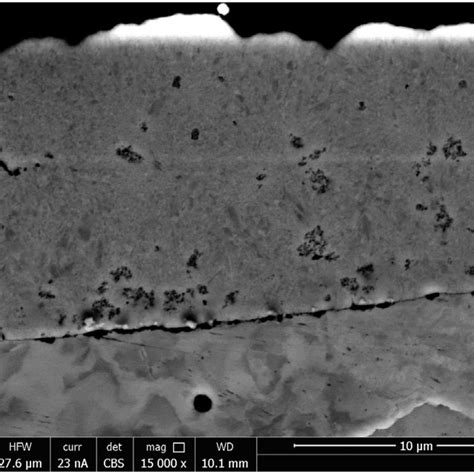 Sem Observations Of Cross Section Of Coating Deposited At E −13 V