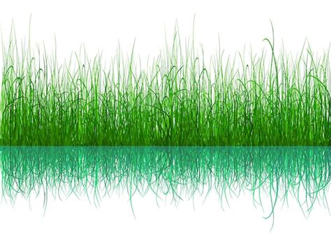 Premium Vector Green Grass Isolated On White