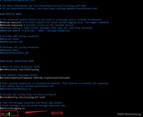 linux日志文件 csdn博客