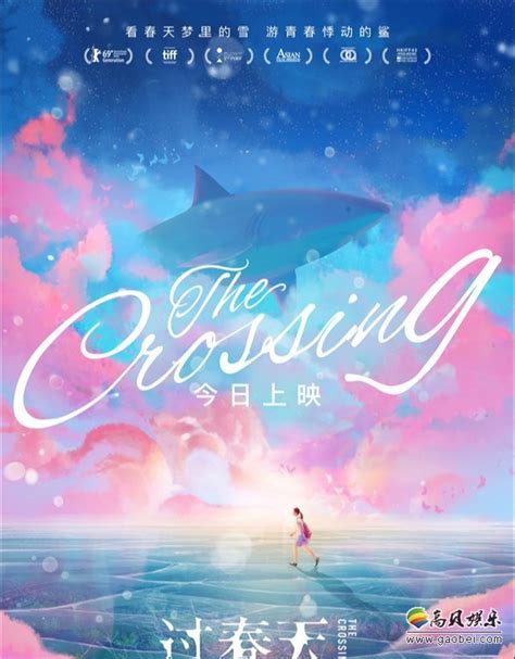 《过春天》曝公映口碑特辑和上映海报：五大看点揭秘2019最惊喜青春片 新闻资讯 高贝娱乐