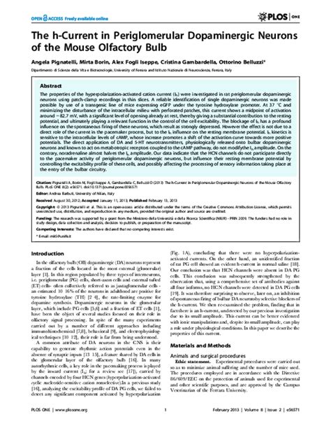 Pdf Inward Rectifier Potassium Kir Current In Dopaminergic