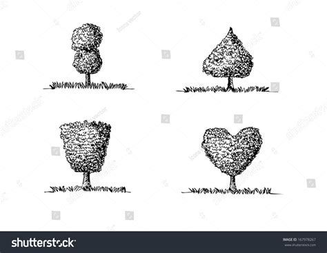 Set Vector Trees Leaves Stock Vector Royalty Free 167978267